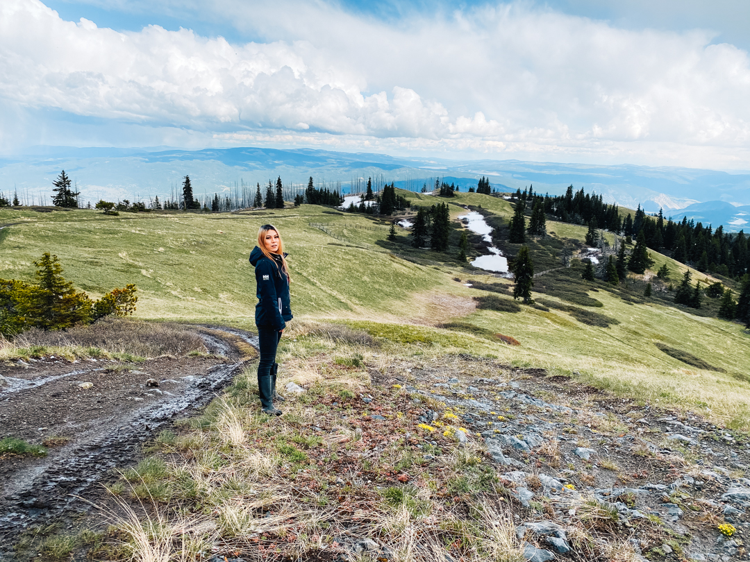 Cornwall Fire Lookout Tower | Greenstone Fire Tower | 4WD