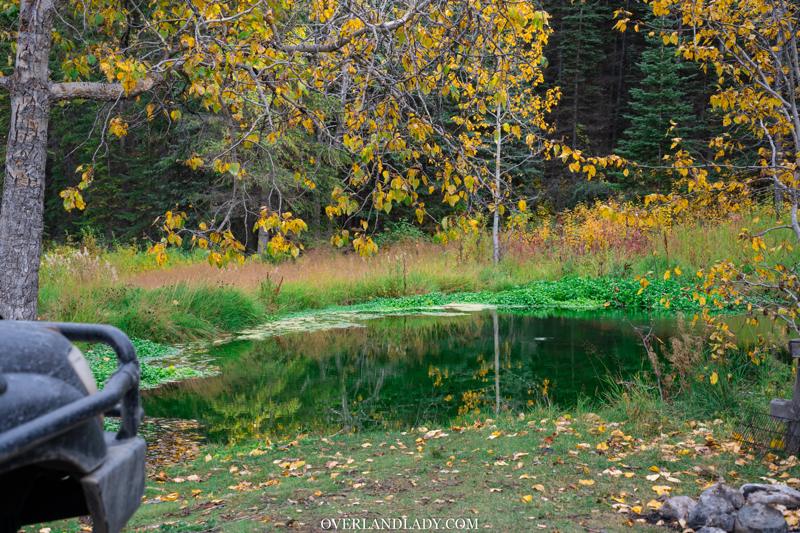 The Most Remote Community In BC - Atlin | Overland Lady